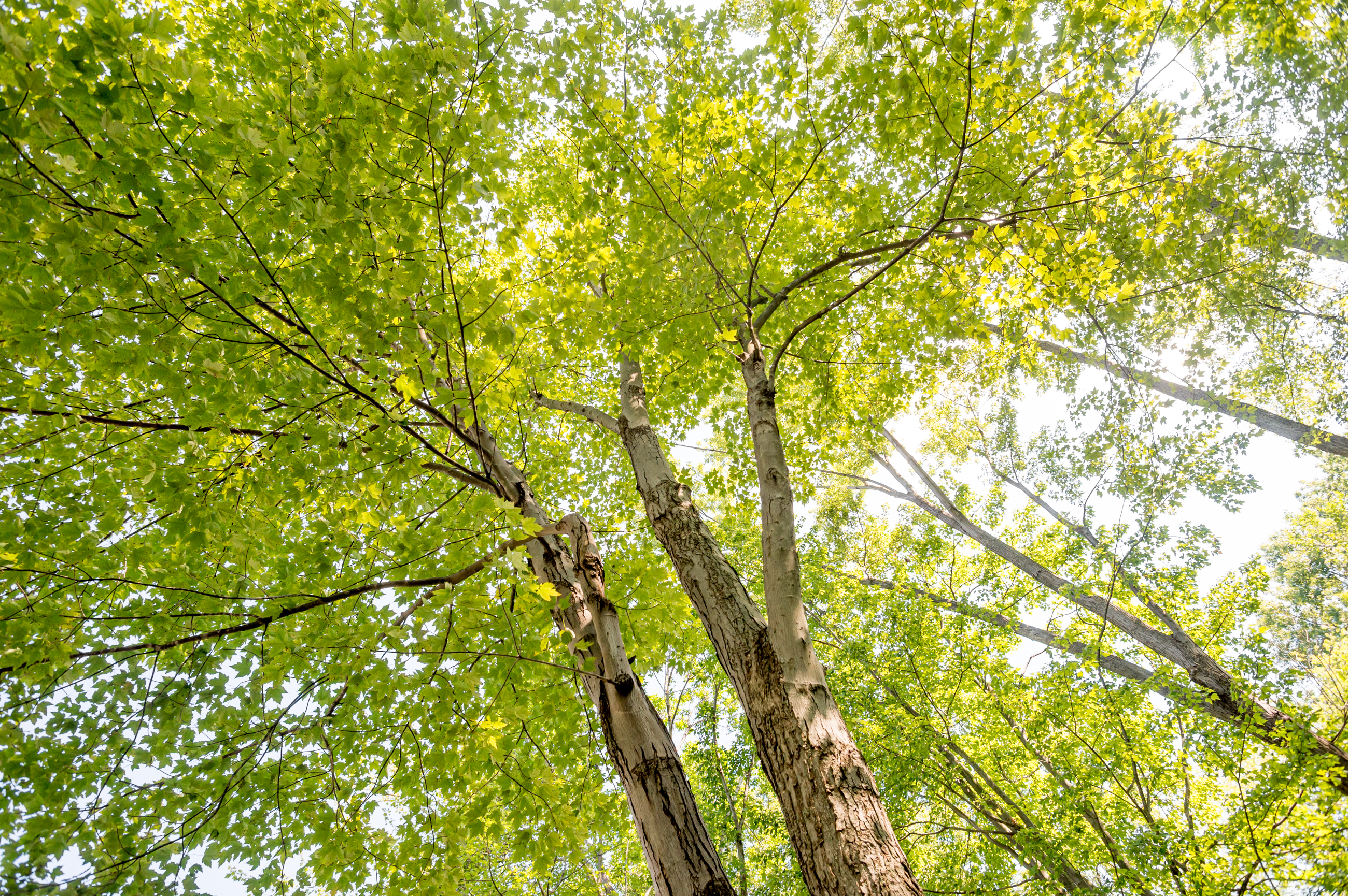 Boston Area Tips & Resources