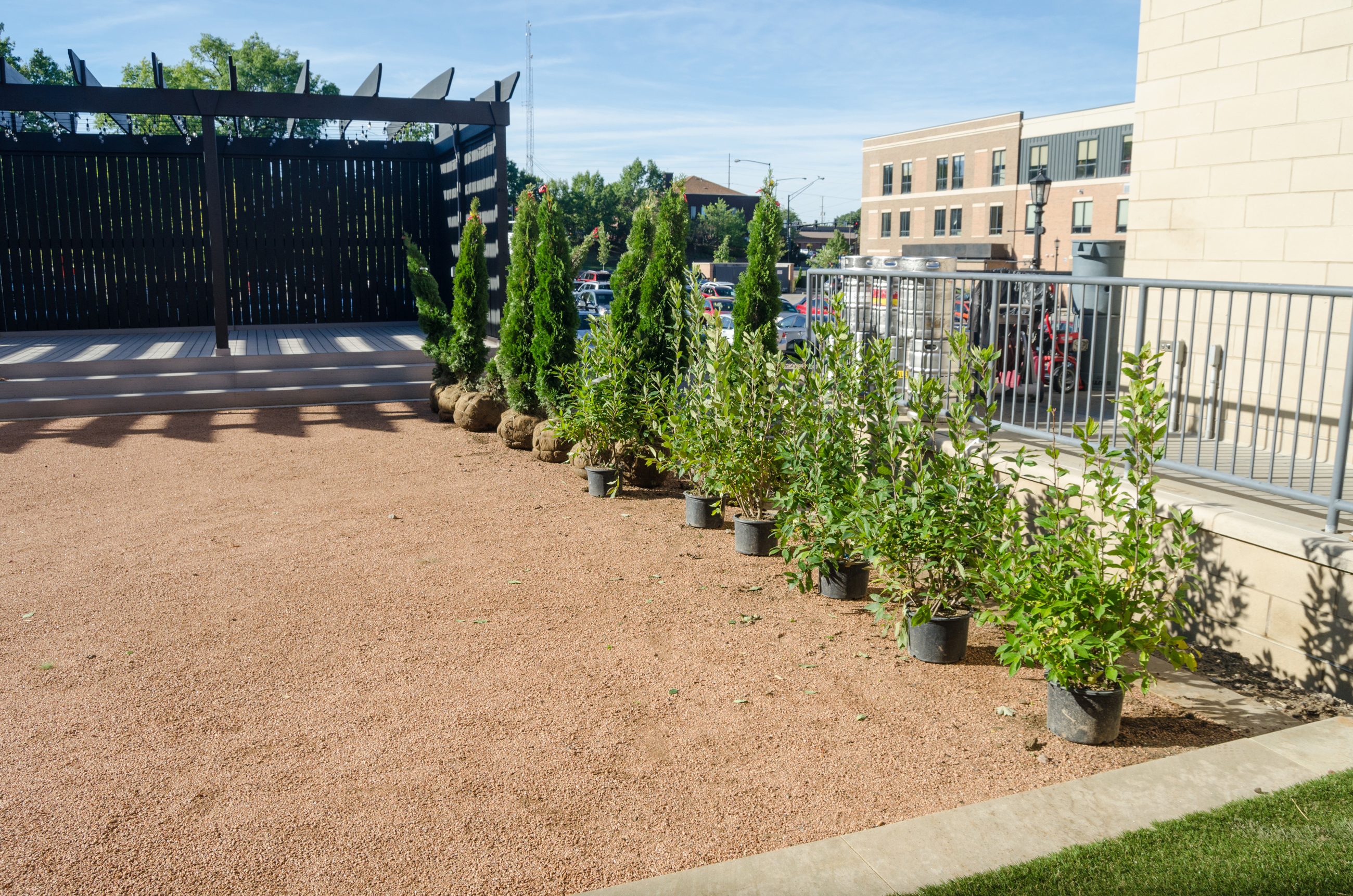 Commercial Tree Planting & Transplanting